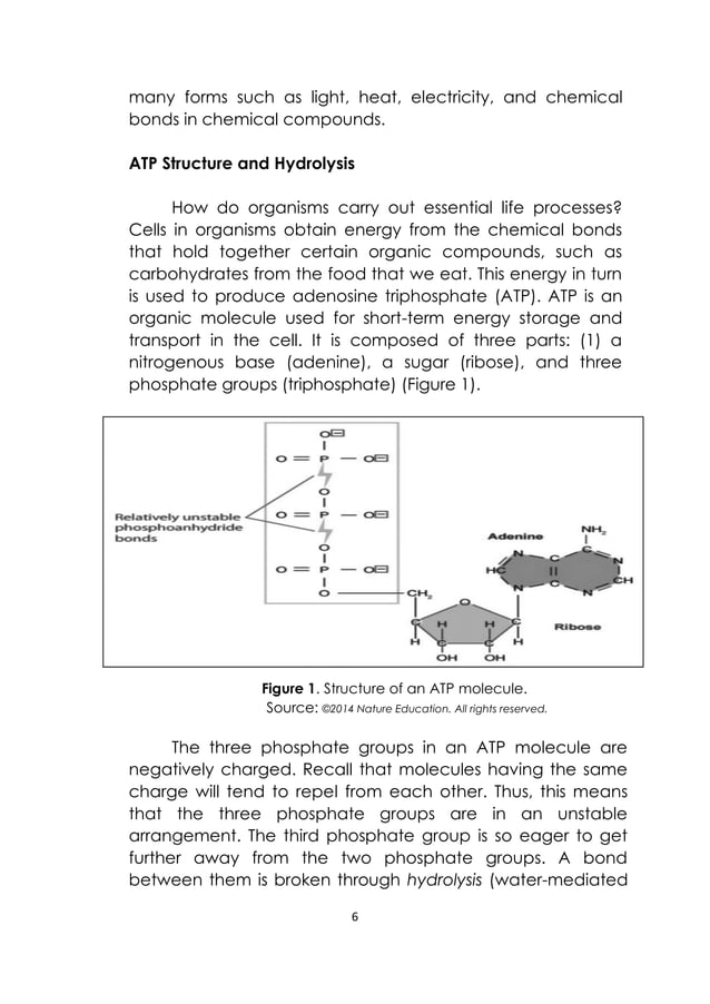 GENERAL BIOLOGY - Q2 - WEEK 1.pdf