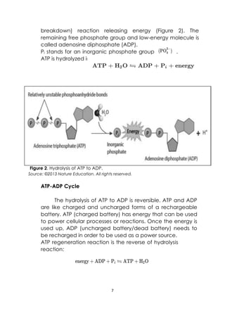 GENERAL BIOLOGY - Q2 - WEEK 1.pdf