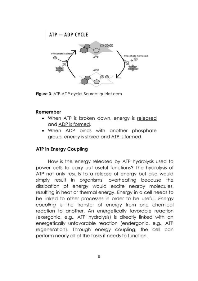 GENERAL BIOLOGY - Q2 - WEEK 1.pdf