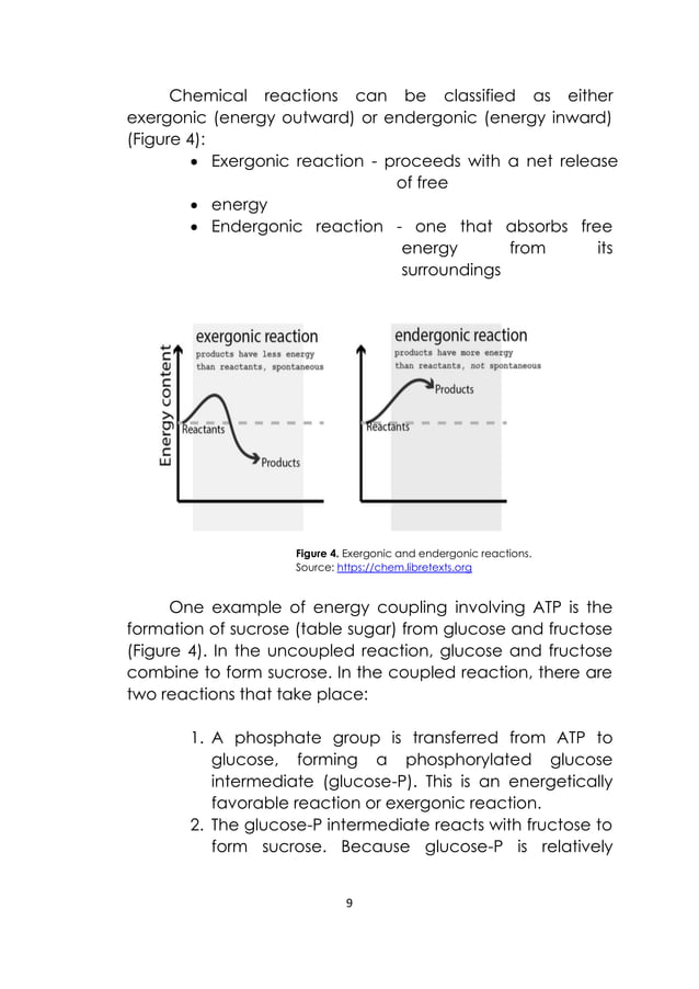 GENERAL BIOLOGY - Q2 - WEEK 1.pdf