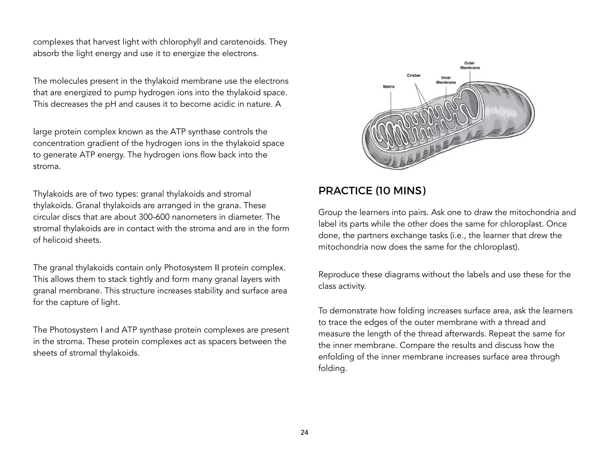 General Biology 1.pdf