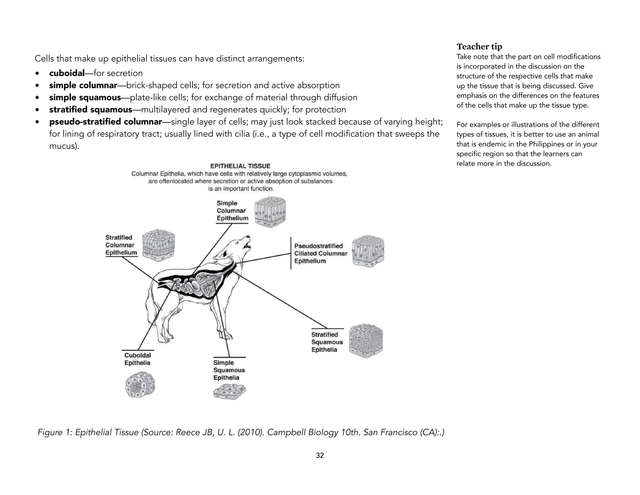 General Biology 1.pdf