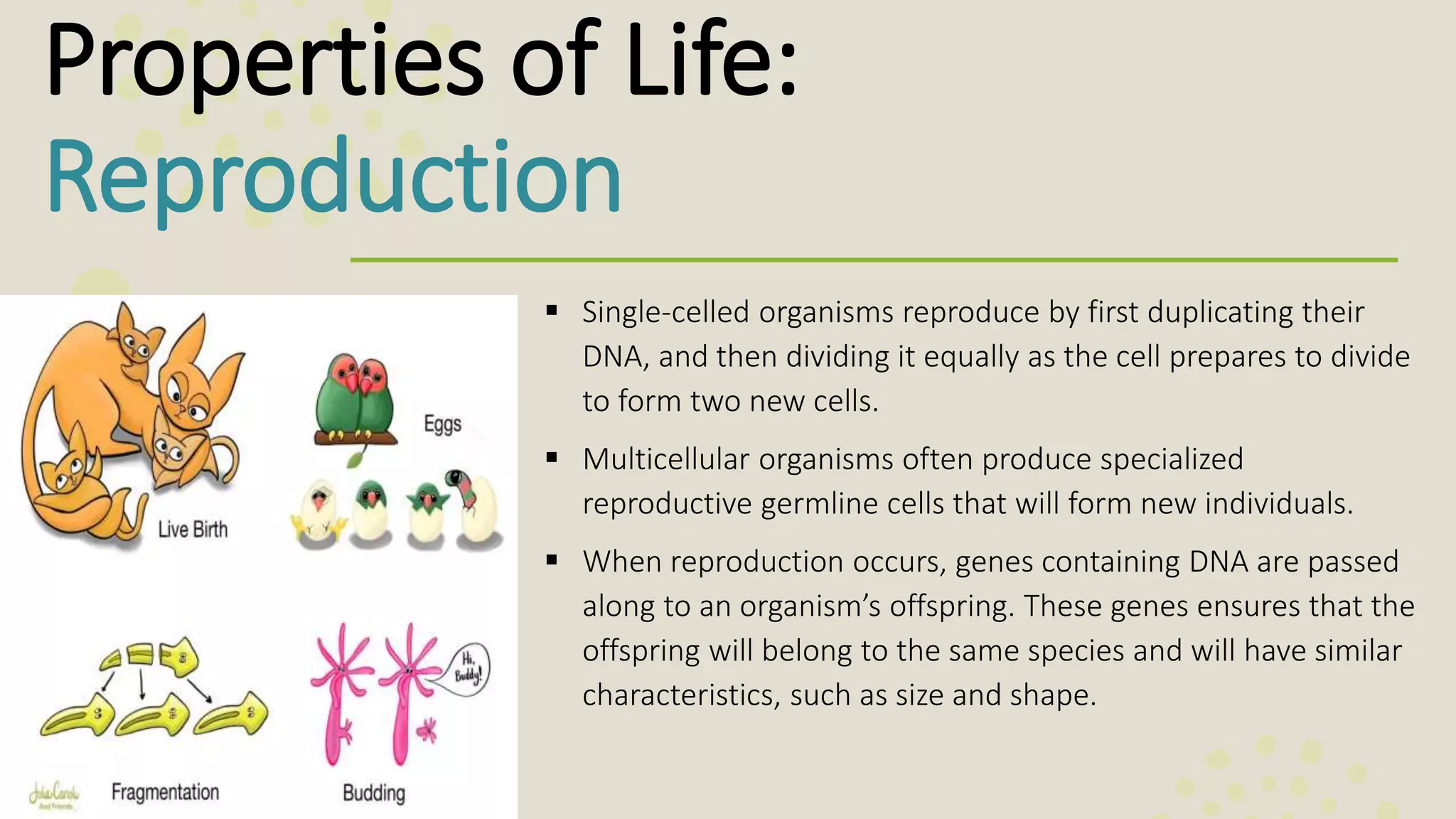 General Biology 1- An Introduction.pptx