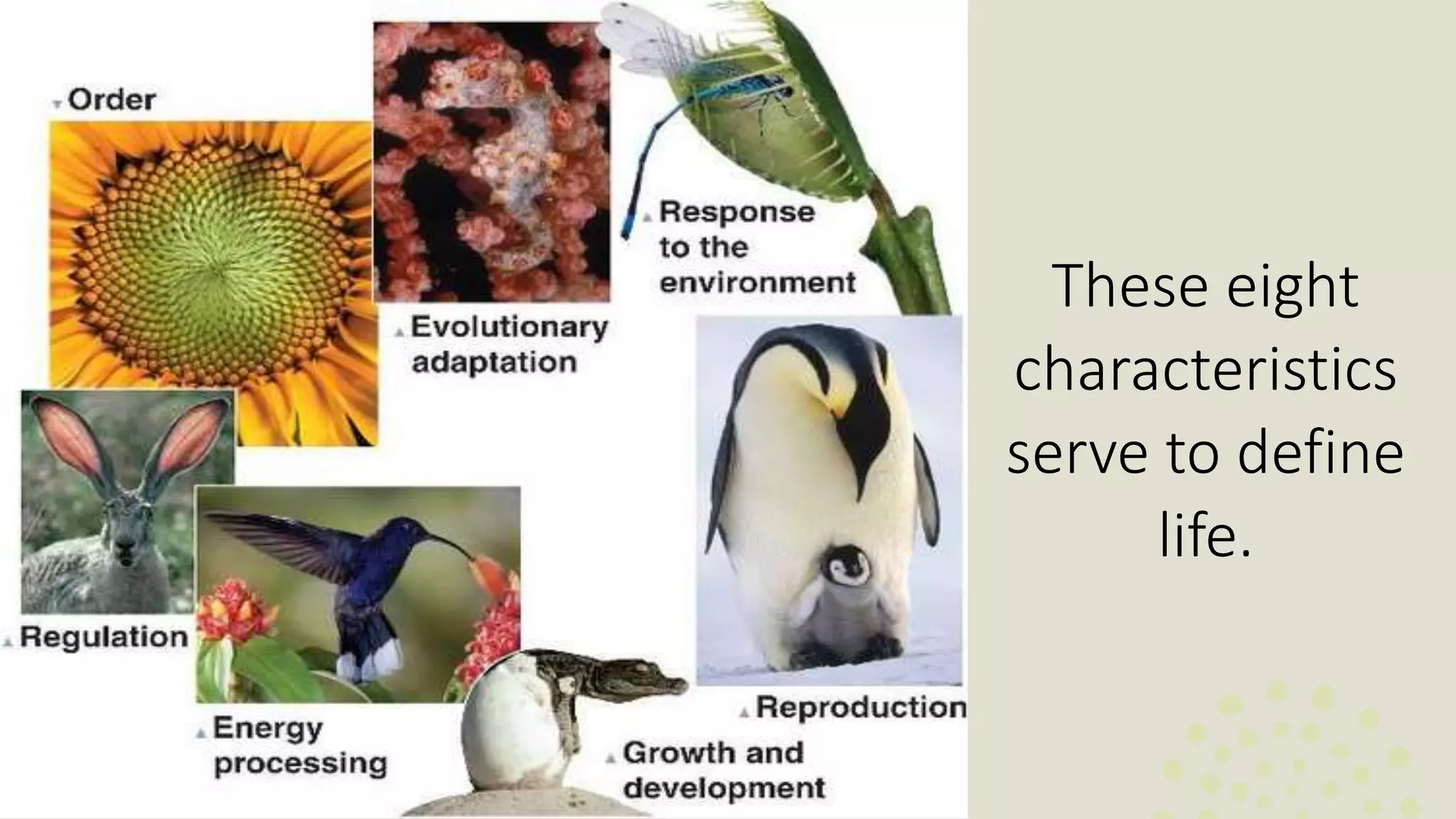 General Biology 1- An Introduction.pptx