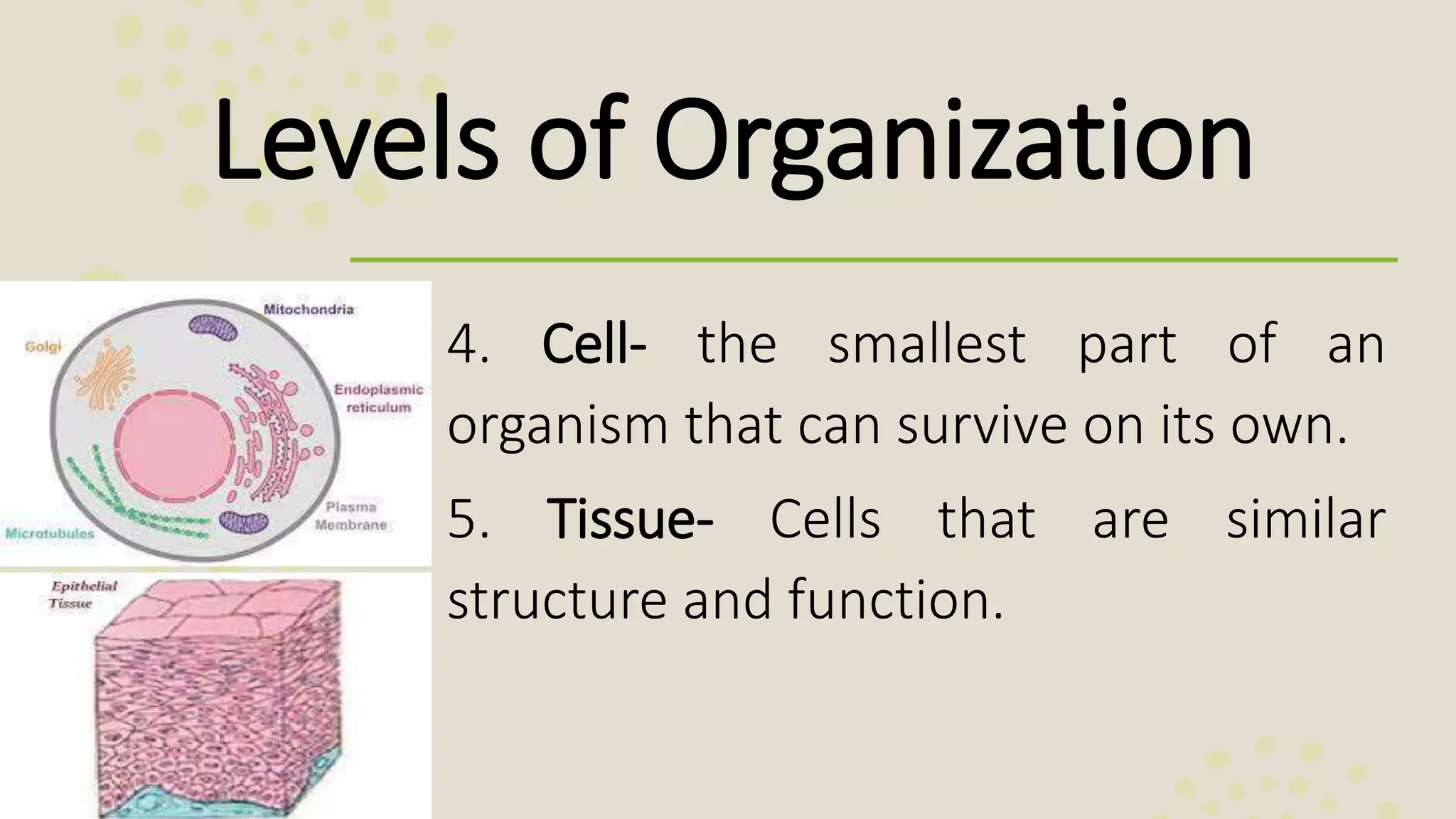 General Biology 1- An Introduction.pptx