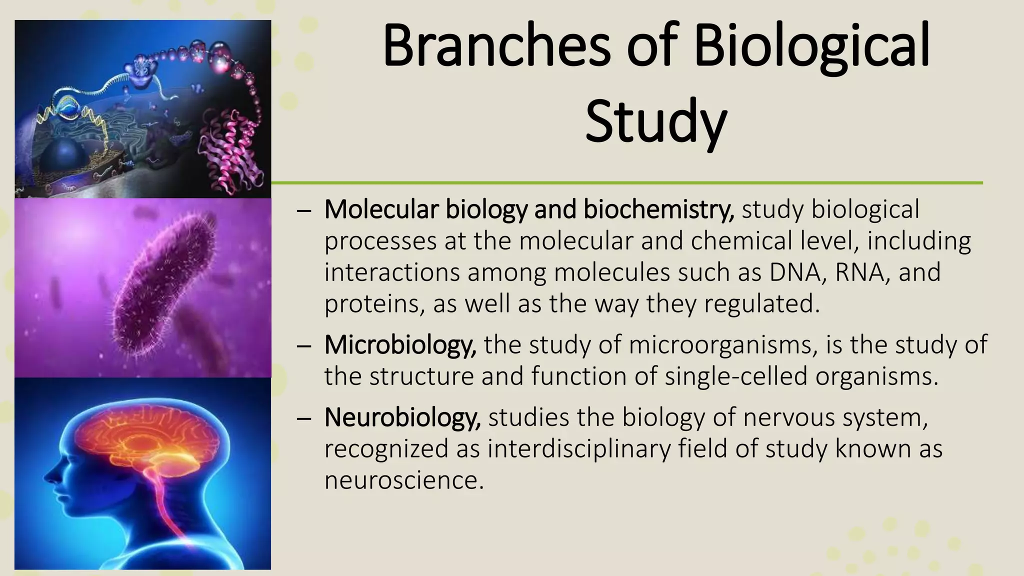 General Biology 1- An Introduction.pptx