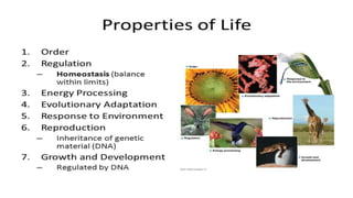 General Biology 1- An Introduction.pptx