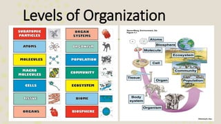General Biology 1- An Introduction.pptx