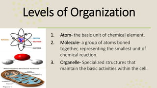 General Biology 1- An Introduction.pptx