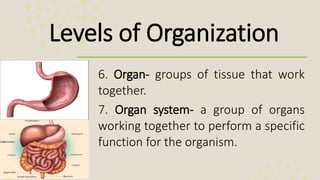 General Biology 1- An Introduction.pptx