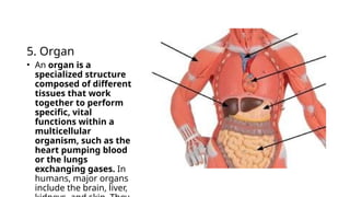 General Biology 1 Quarter 1 (Lesson 1,2,3).pptx