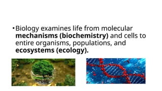 General Biology 1 Quarter 1 (Lesson 1,2,3).pptx