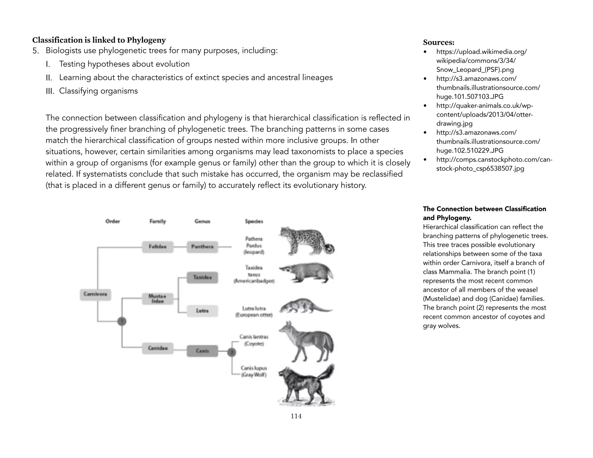 General biology 2 | PDF