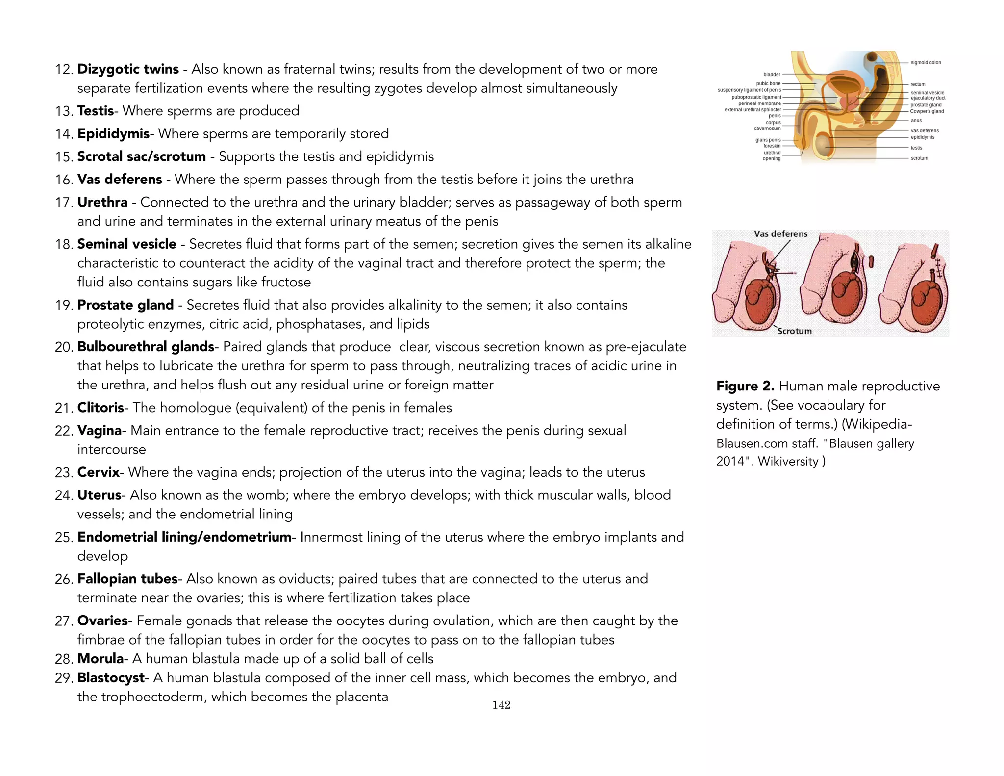 General biology 2 | PDF