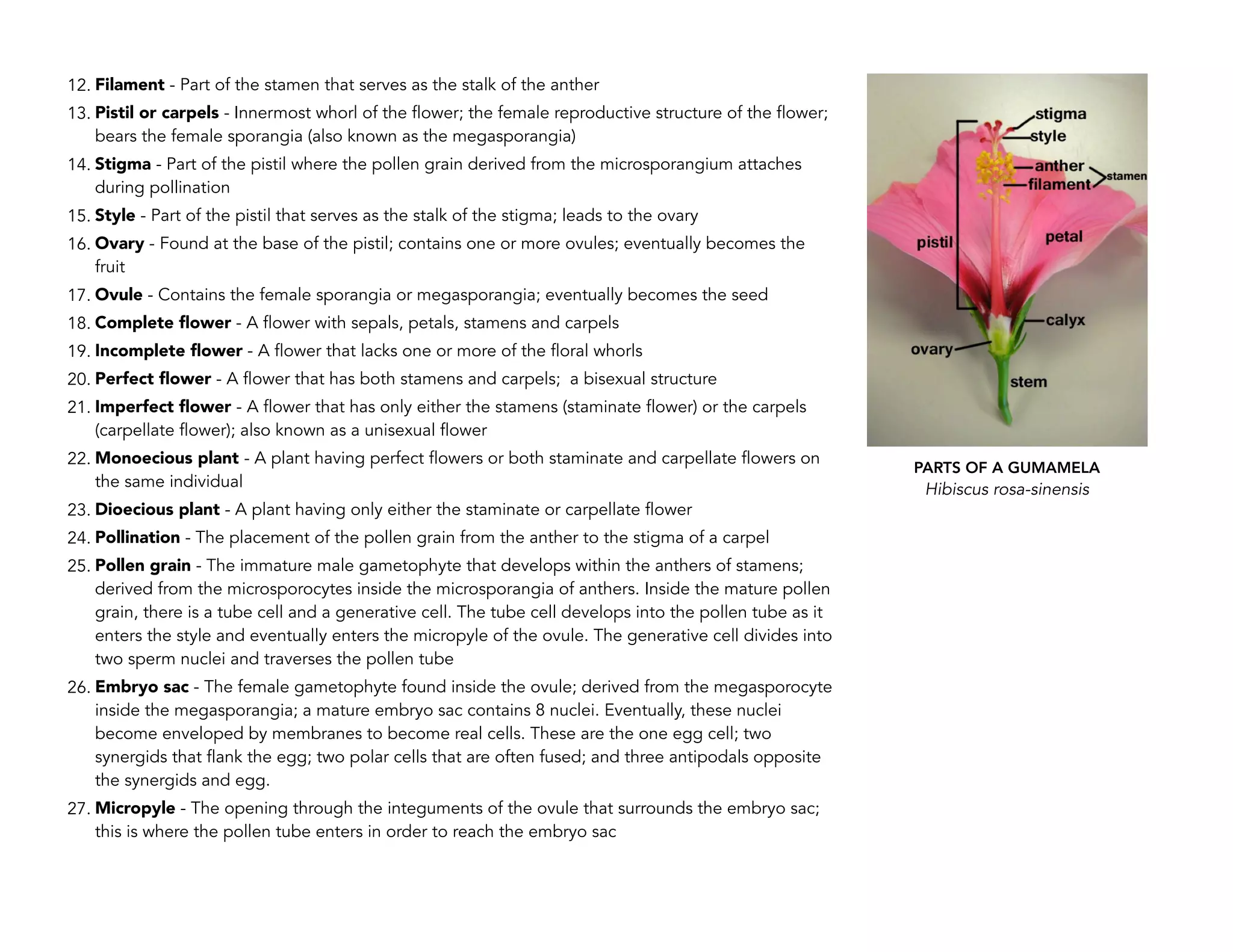 General biology 2 | PDF