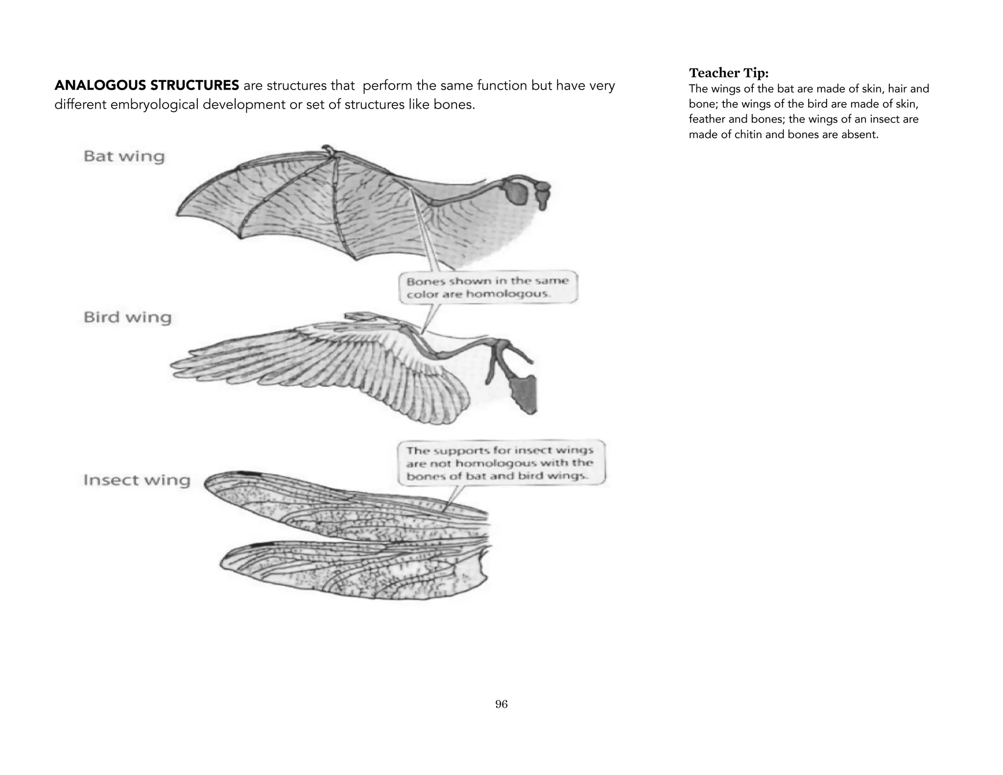 General Biology 2 for senior high school | PDF