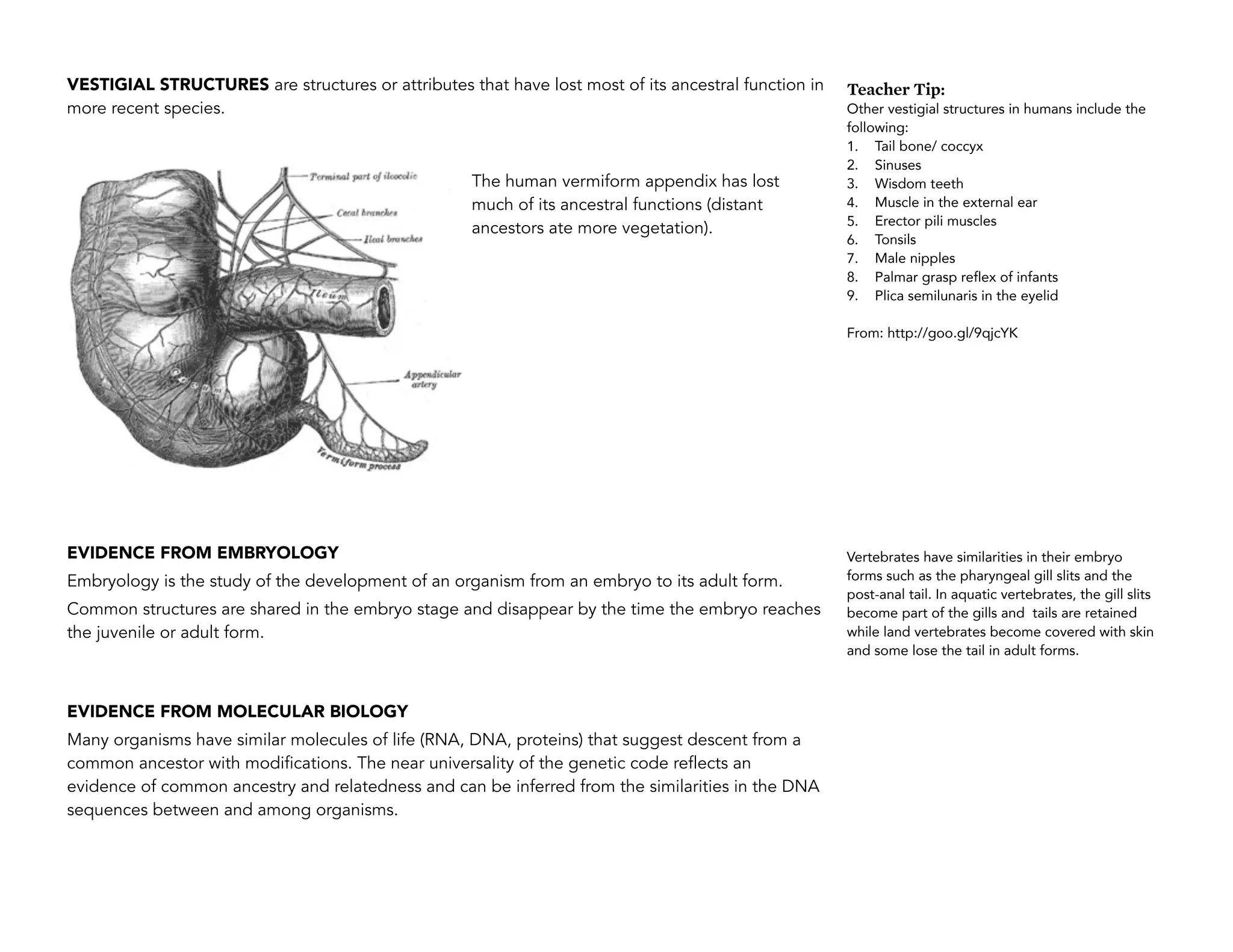 General Biology 2 for senior high school | PDF