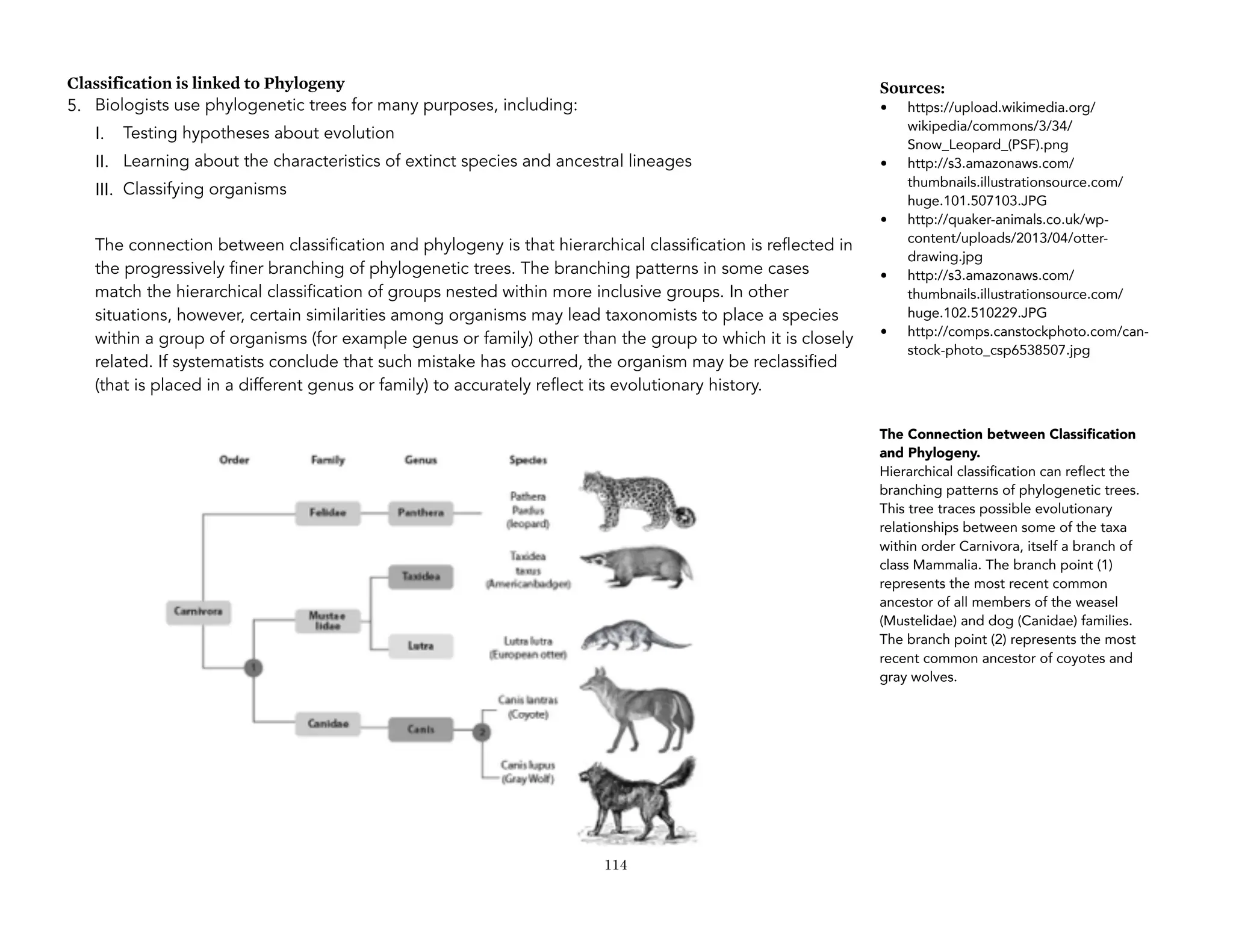 General Biology 2 for senior high school | PDF