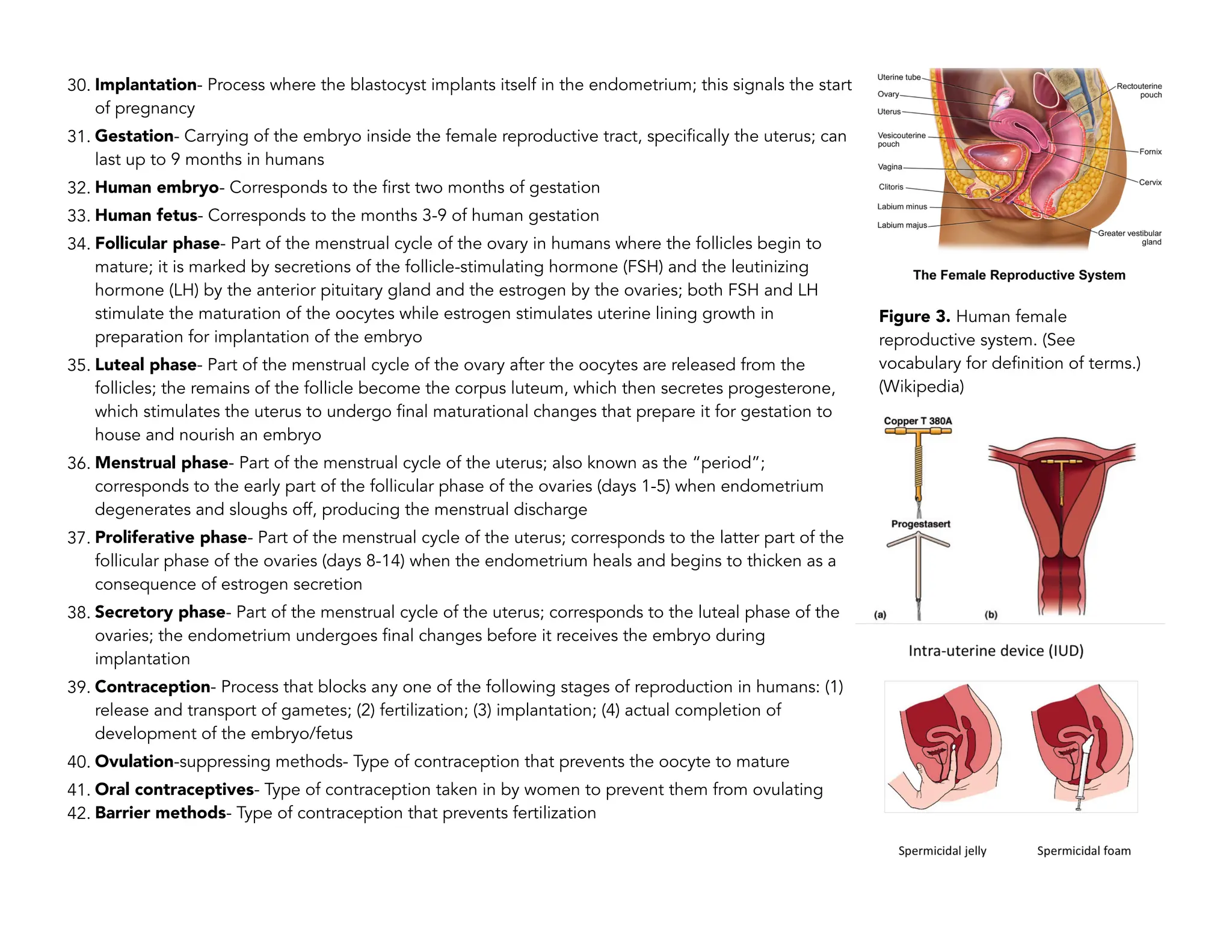 General Biology 2 for senior high school | PDF