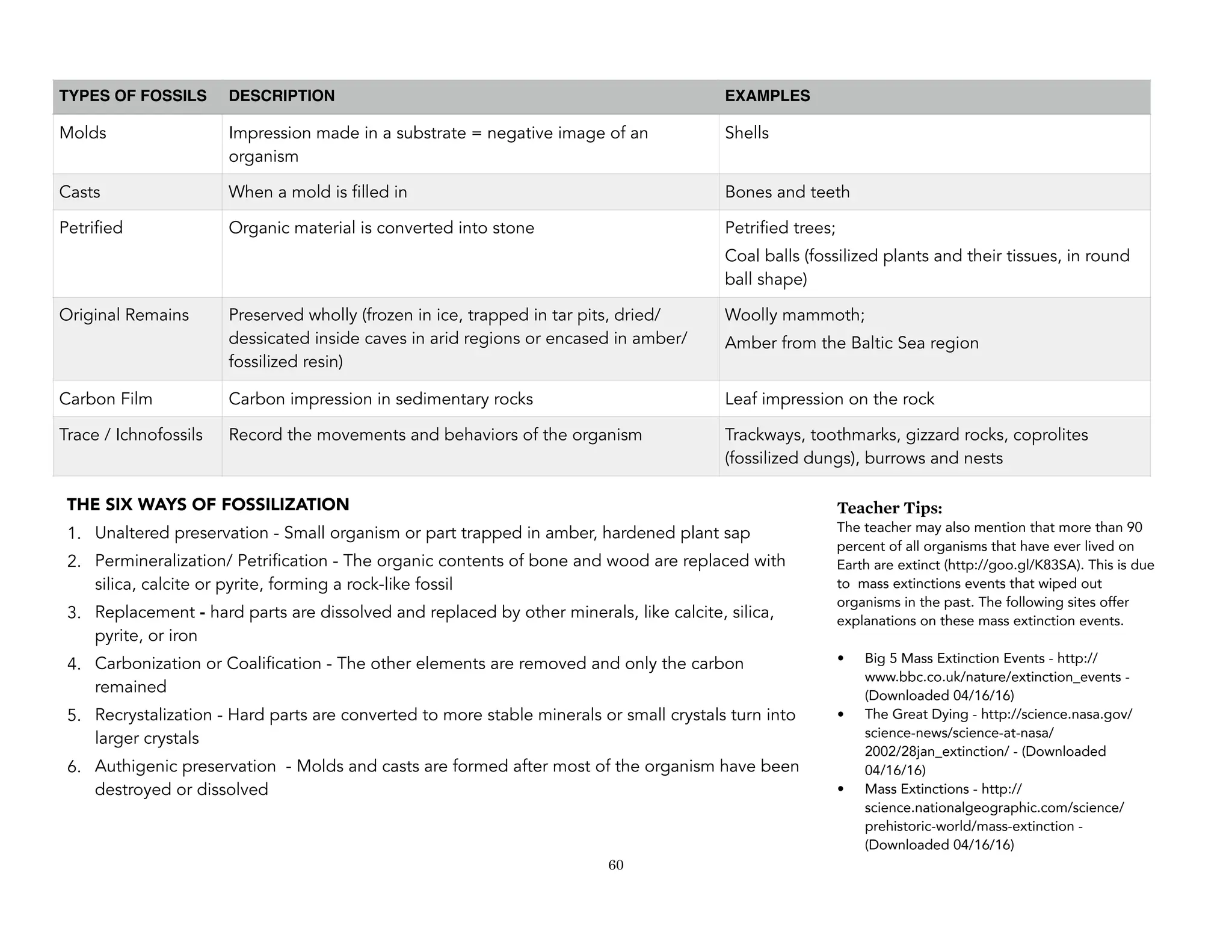 General Biology 2 for senior high school | PDF