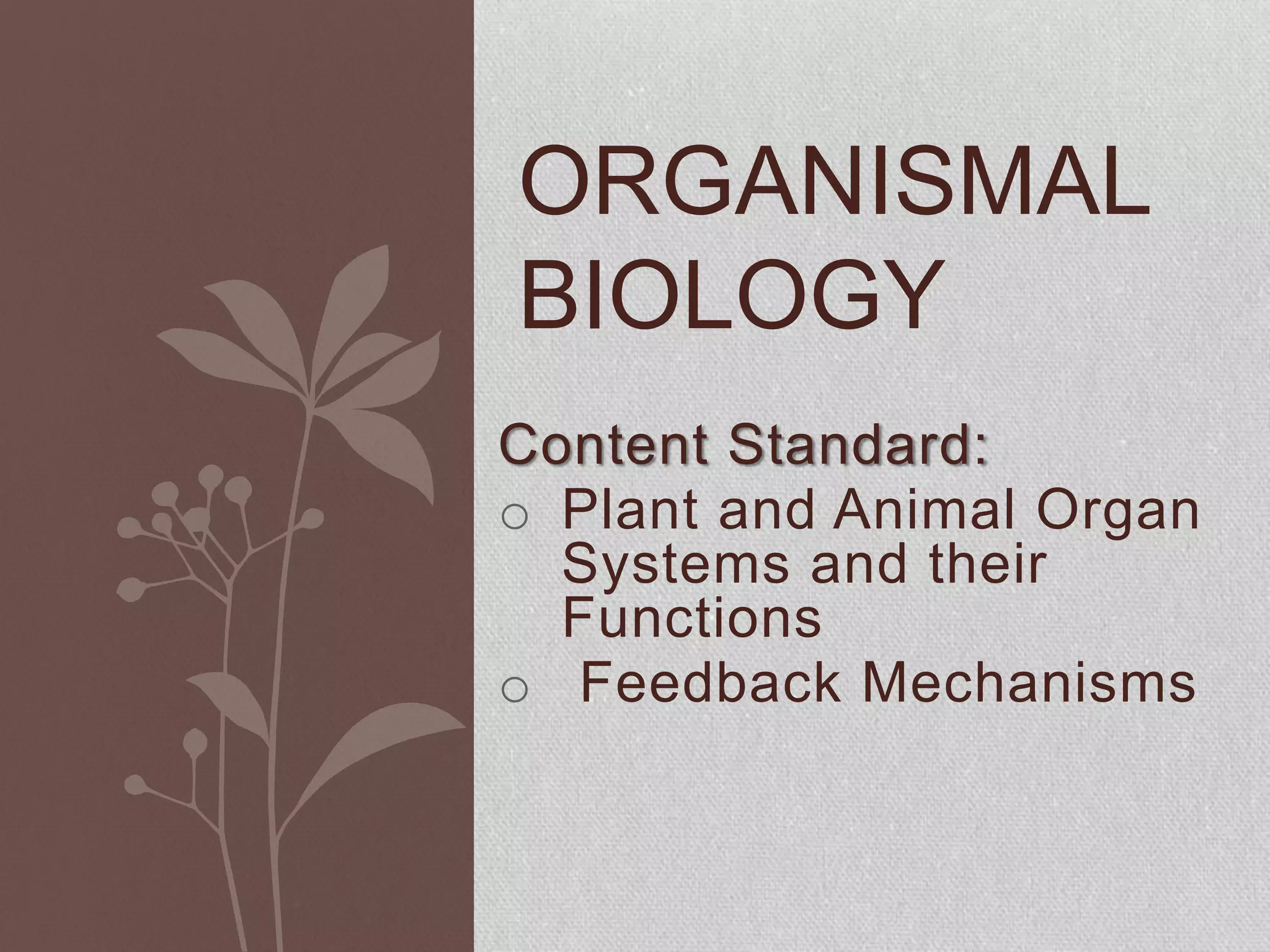 General biology 2 Organismal Biology | PPTX