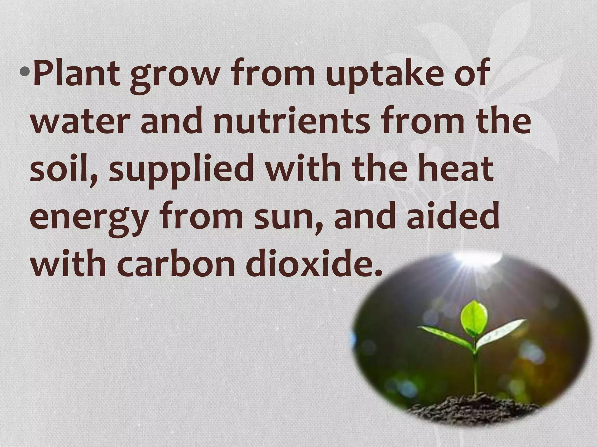 General biology 2 Organismal Biology | PPTX