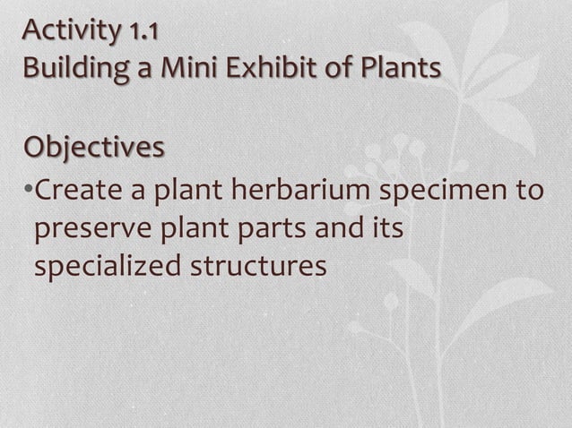General biology 2 Organismal Biology | PPTX | Gardening | Home & Garden