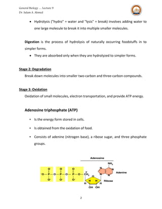 GENERAL BIOLOGY 9.pdfdkdkdkswdkskqldkdkekwkd | PDF | Endocrine and ...