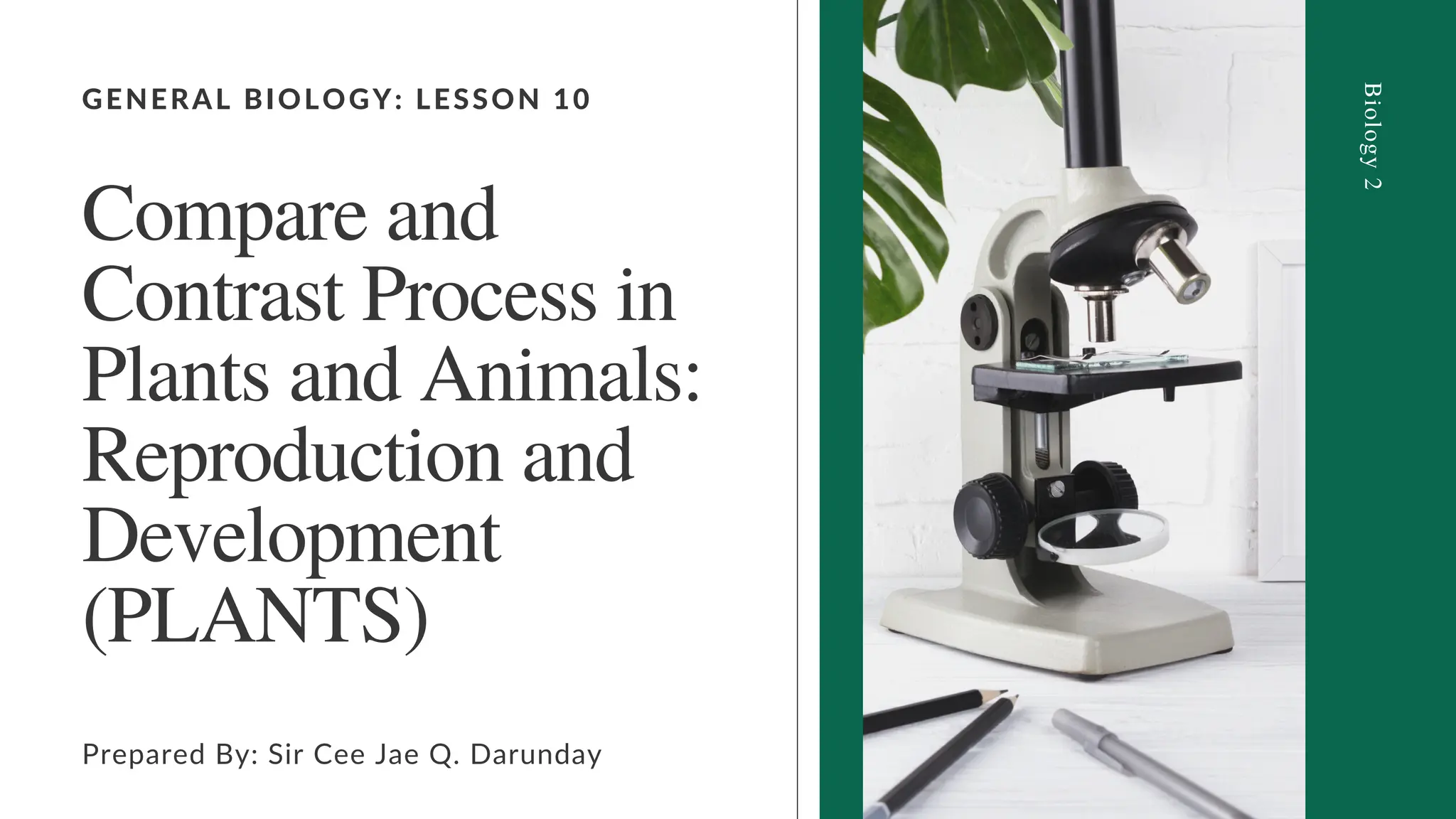 General Biology Lesson 10 Compare and Contrast Process in Plants and ...