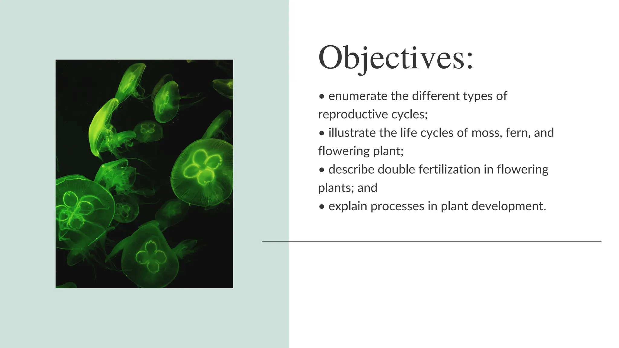 General Biology Lesson 10 Compare and Contrast Process in Plants and ...