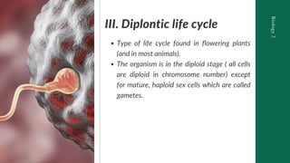 General Biology Lesson 10 Compare and Contrast Process in Plants and ...