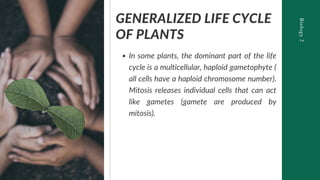 General Biology Lesson 10 Compare and Contrast Process in Plants and ...