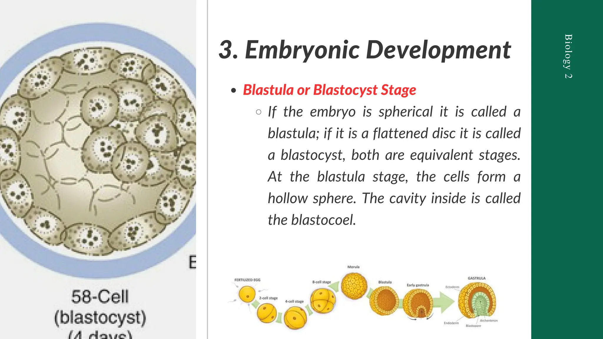 General Biology Lesson 9 Compare and Contrast Process in Plants and Animals_Reproduction and ...
