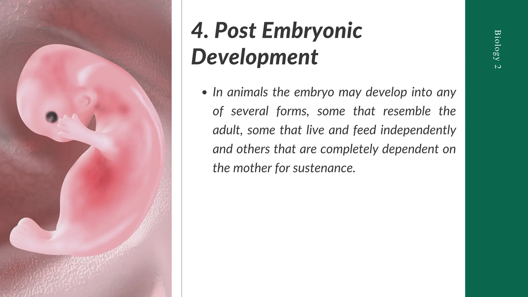 General Biology Lesson 9 Compare and Contrast Process in Plants and ...