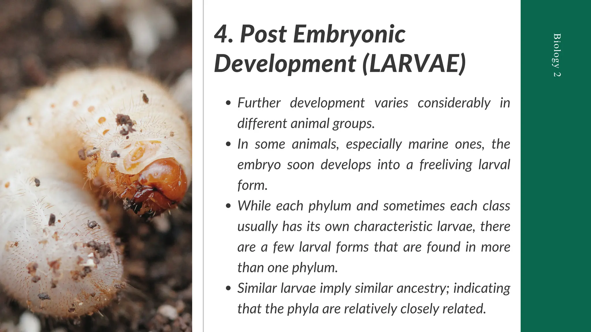 General Biology Lesson 9 Compare and Contrast Process in Plants and ...