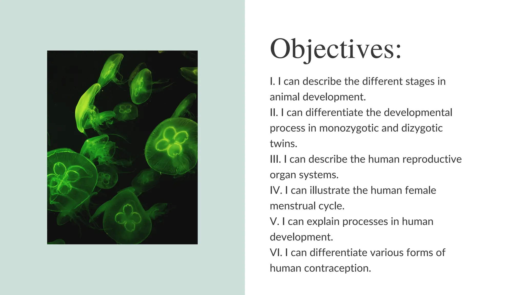 General Biology Lesson 9 Compare and Contrast Process in Plants and ...