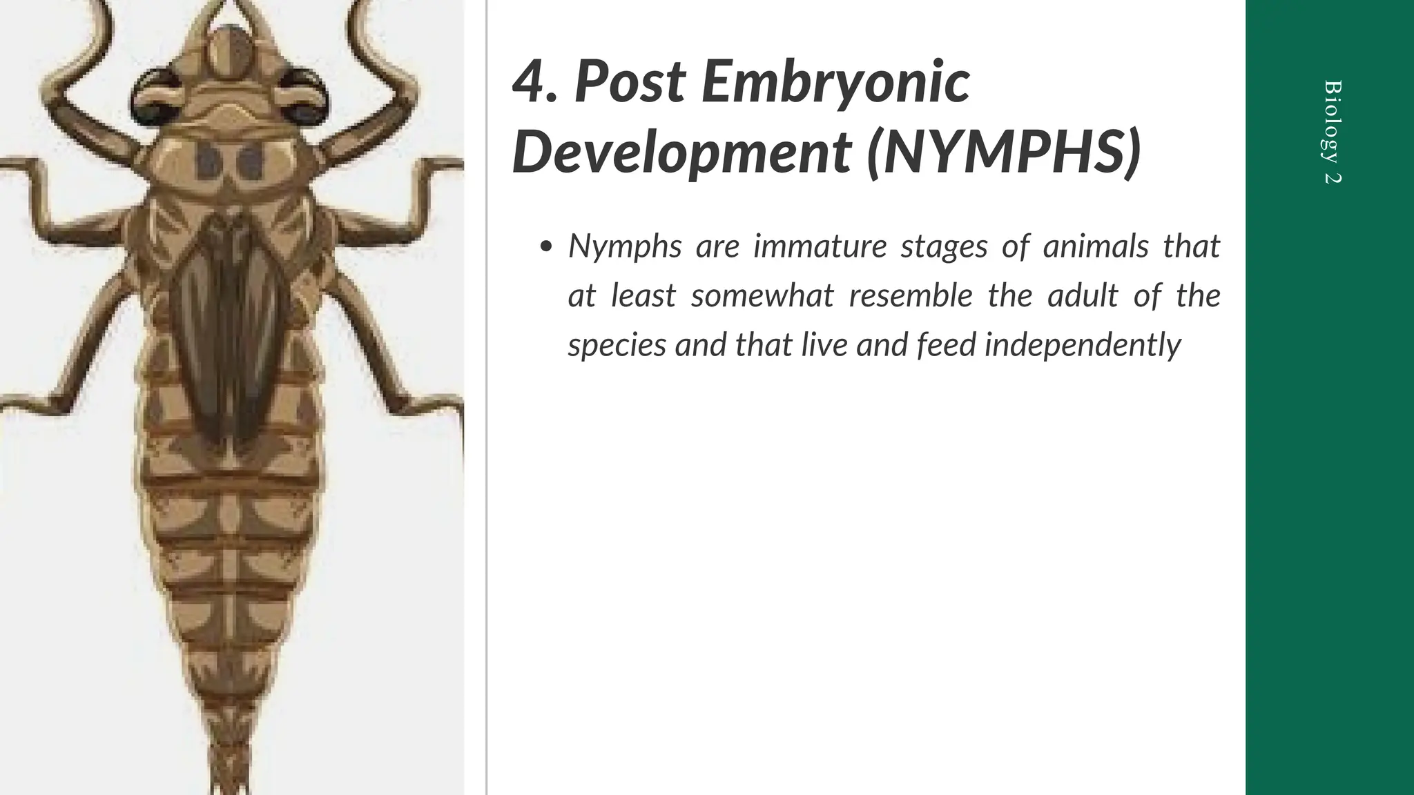 General Biology Lesson 9 Compare and Contrast Process in Plants and ...