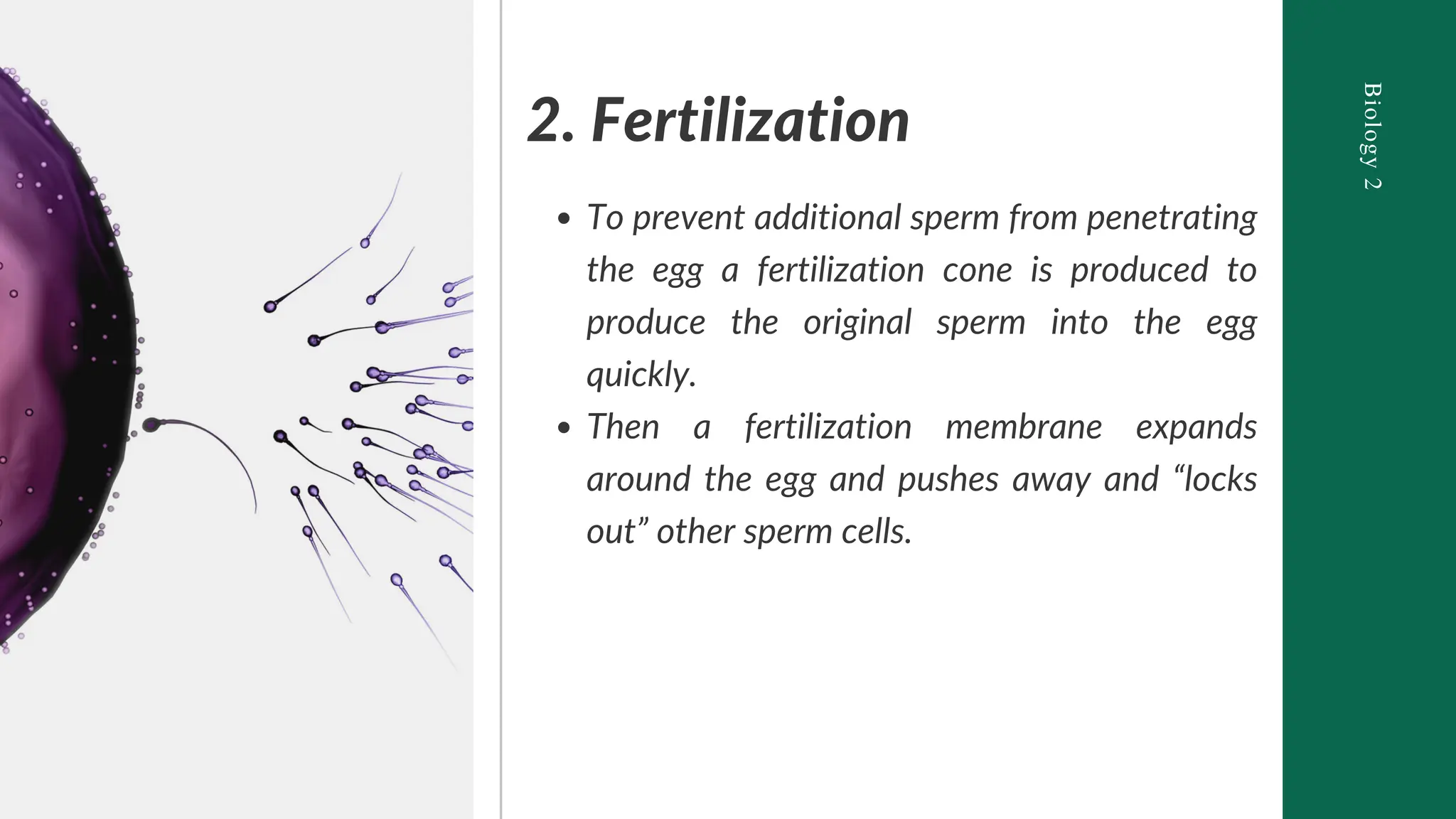 General Biology Lesson 9 Compare and Contrast Process in Plants and ...