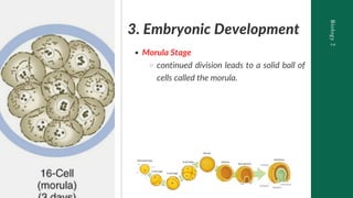 General Biology Lesson 9 Compare and Contrast Process in Plants and ...