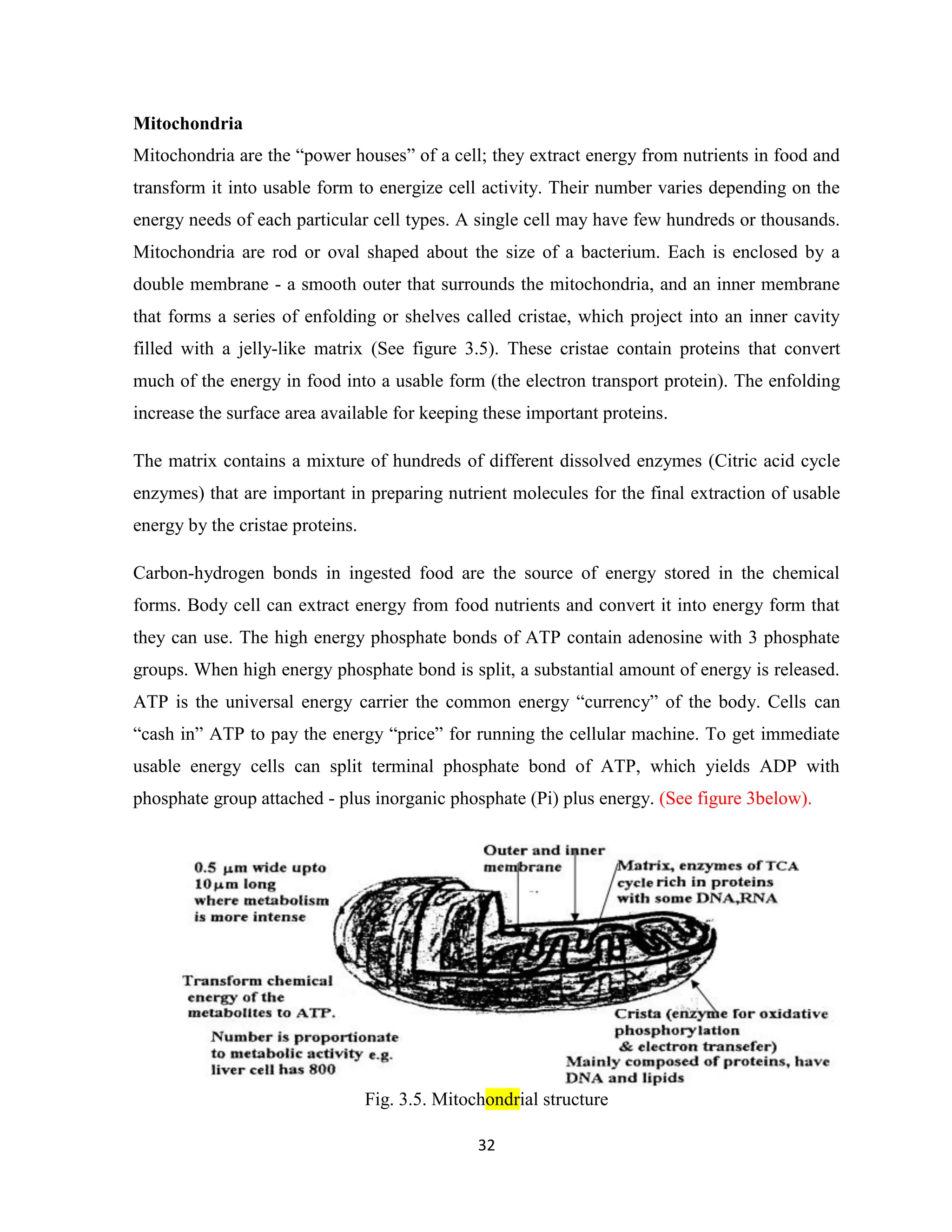 GENERAL BIOLOGY module.pdf in all ethiopian university | PDF