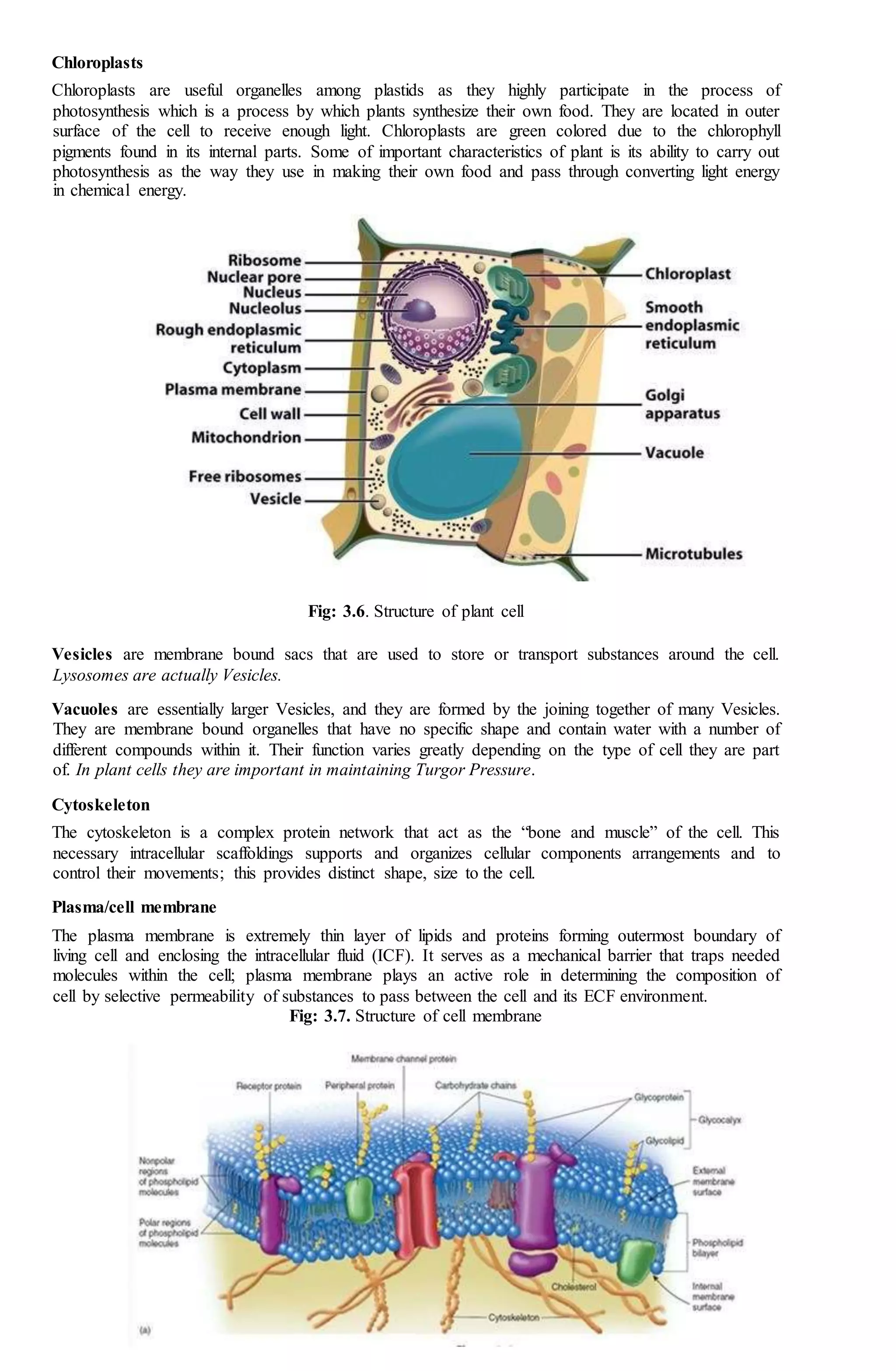 General biology module | DOC