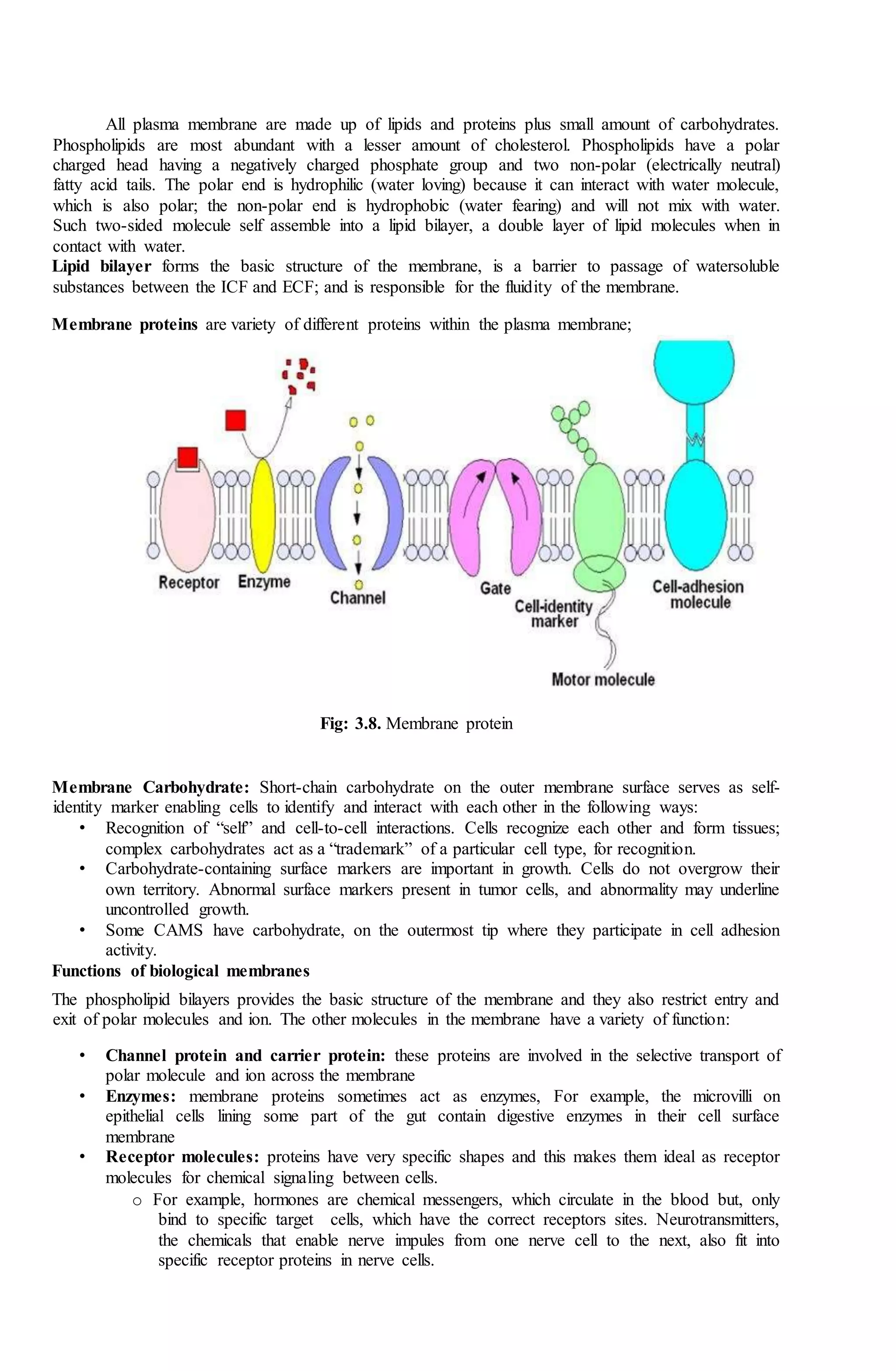 General biology module | DOC