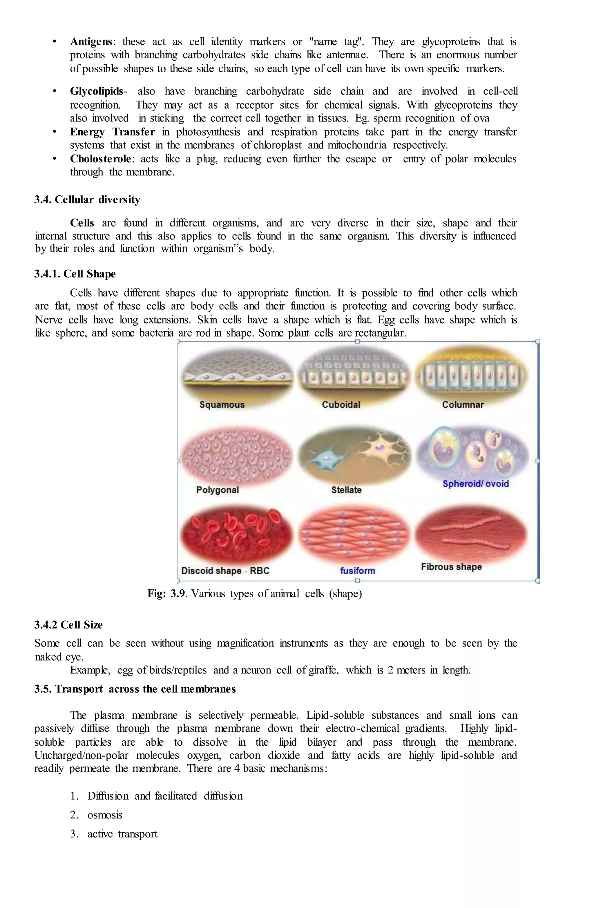 General biology module | DOC