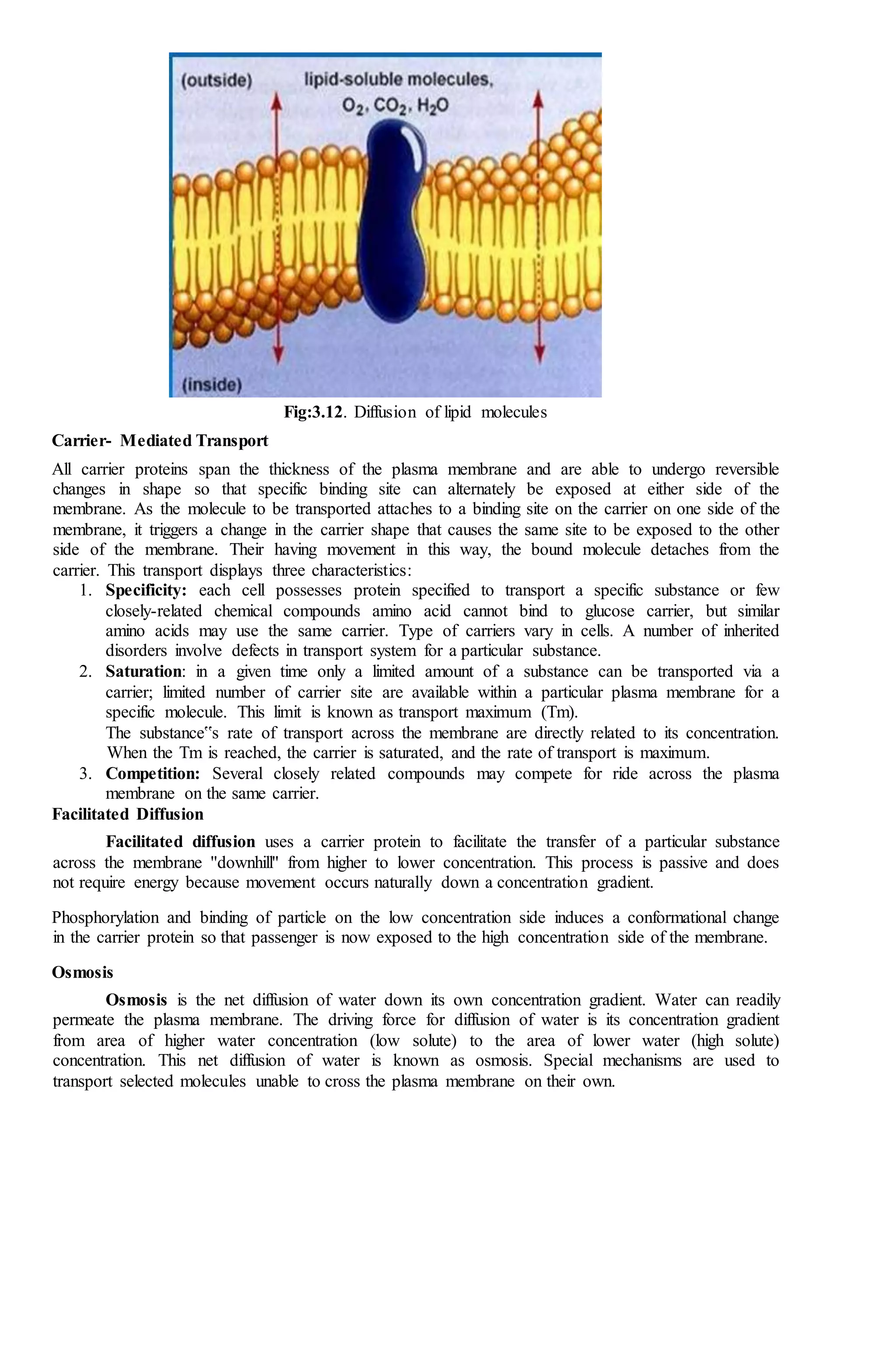 General biology module | DOC