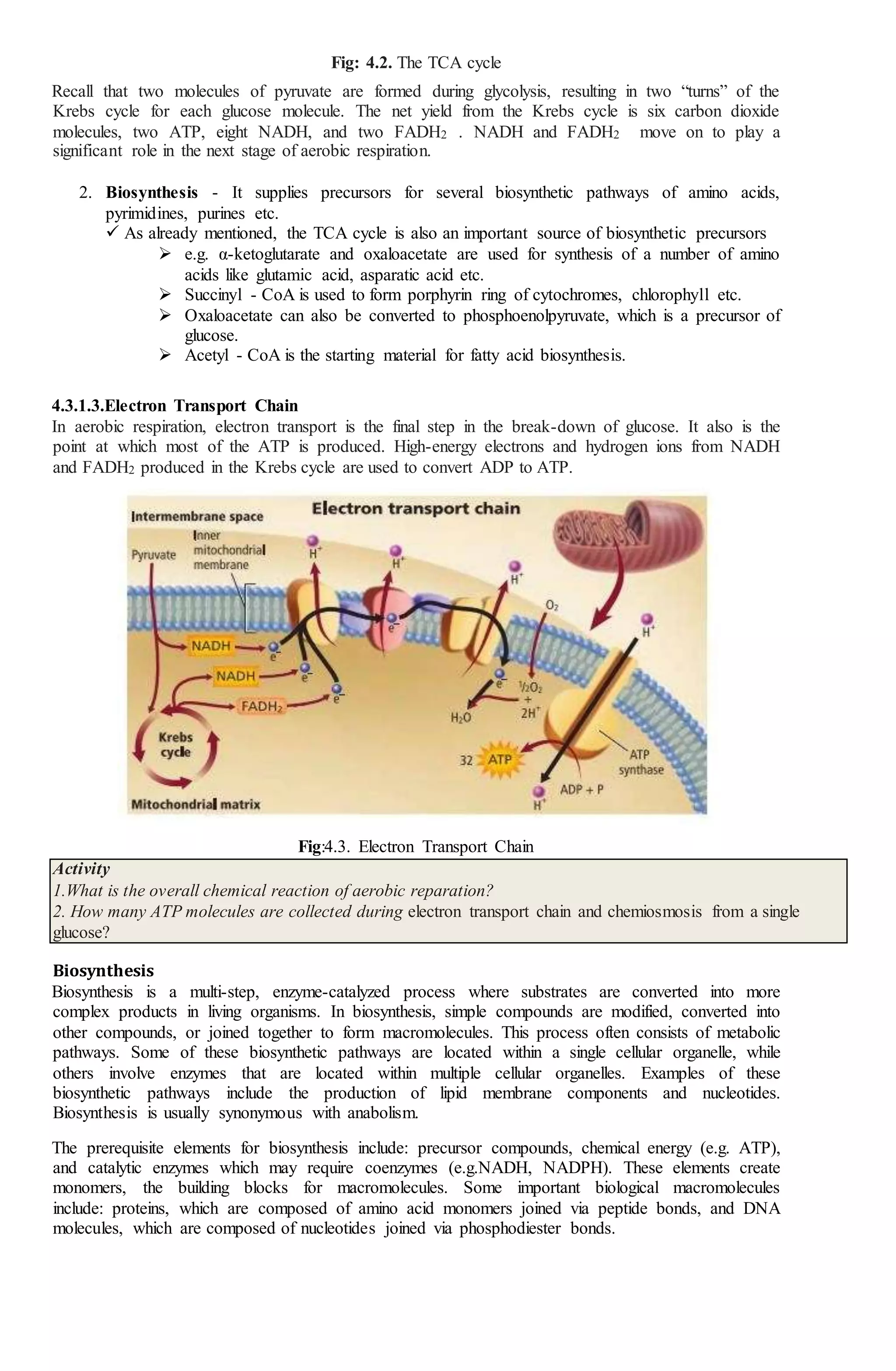 General biology module | DOC