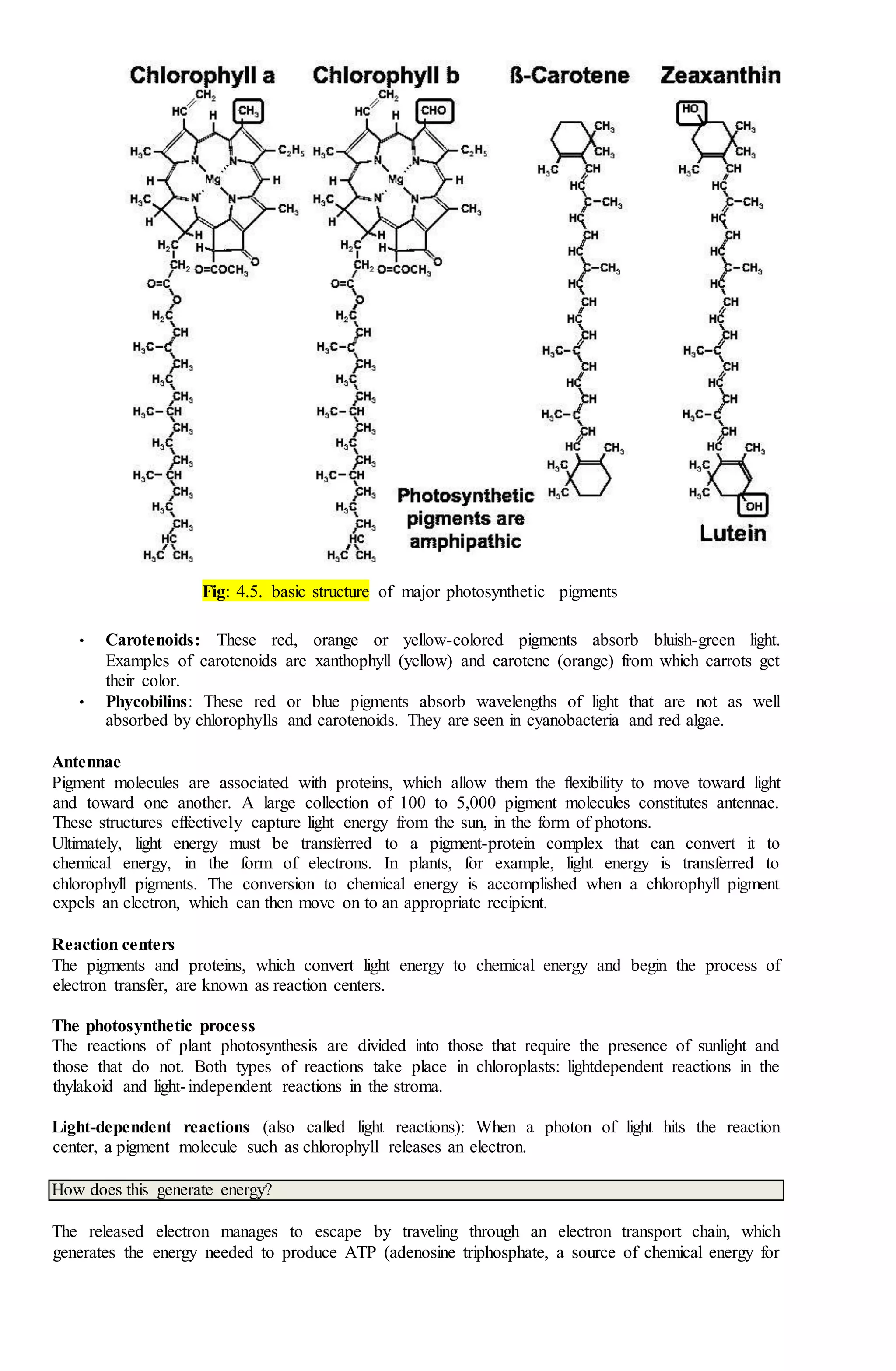 General biology module | DOC