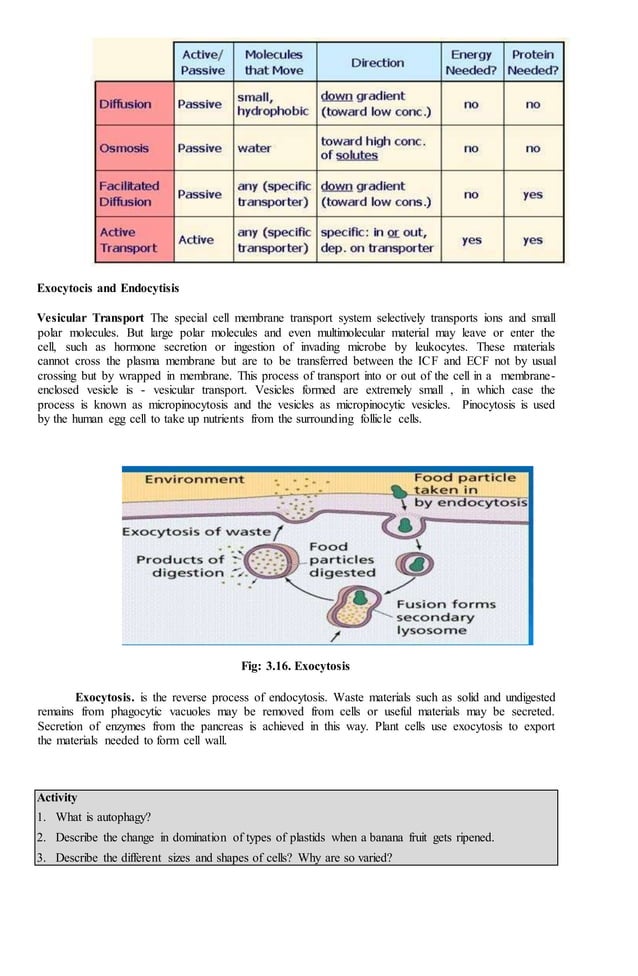 General biology module | DOC