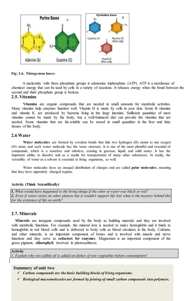 General biology module | DOC