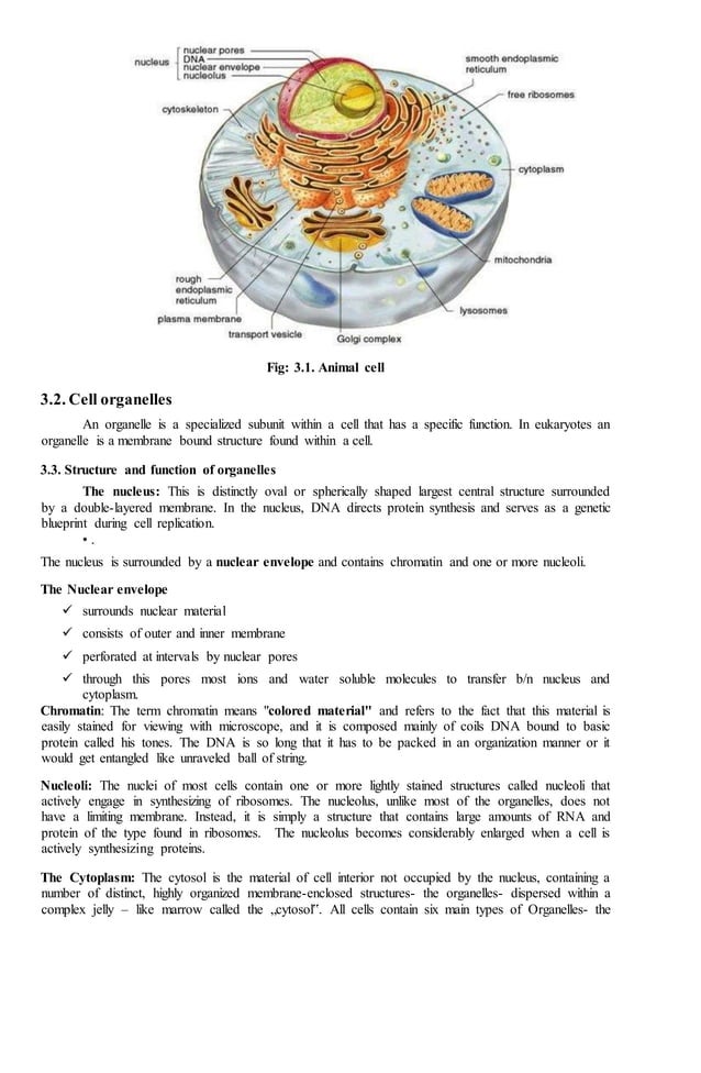 General biology module | DOC