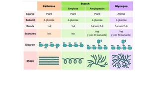 general biology ppt chapter 1-2 (1).pptx freshman course | PPTX